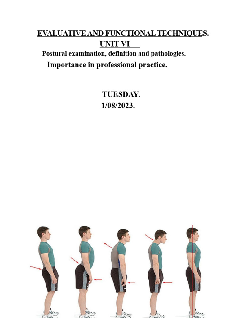 Postural Assessment Techniques Explained | PDF | Physical Therapy ...