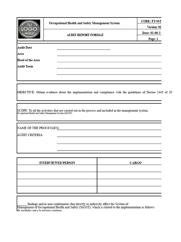 2 FT SST 087 Audit Report Format | PDF