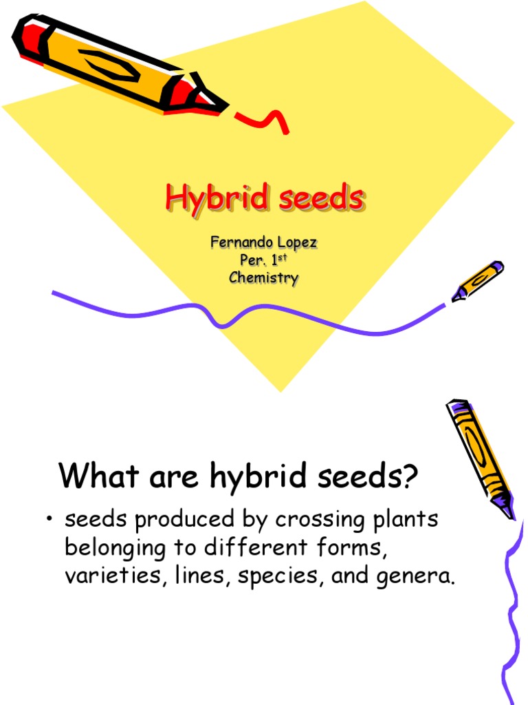 Hybrid Seeds: Fernando Lopez Per. 1 Chemistry | PDF | Science & Mathematics