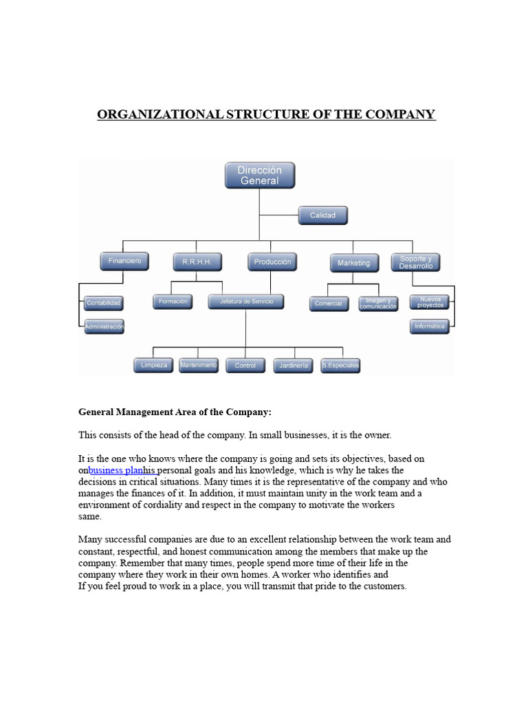 Organizational Structure of The Company | PDF | Marketing | Sales