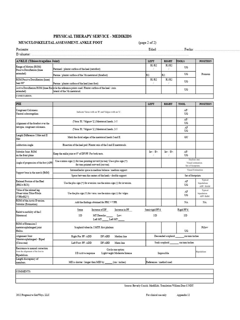 Musculoskeletal Evaluation Form Ankle - Foot | PDF | Foot | Ankle