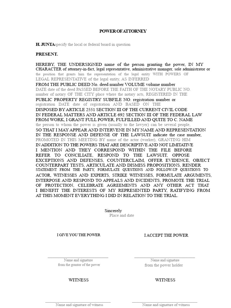 Power of Attorney Document Template | PDF | Power Of Attorney | Witness