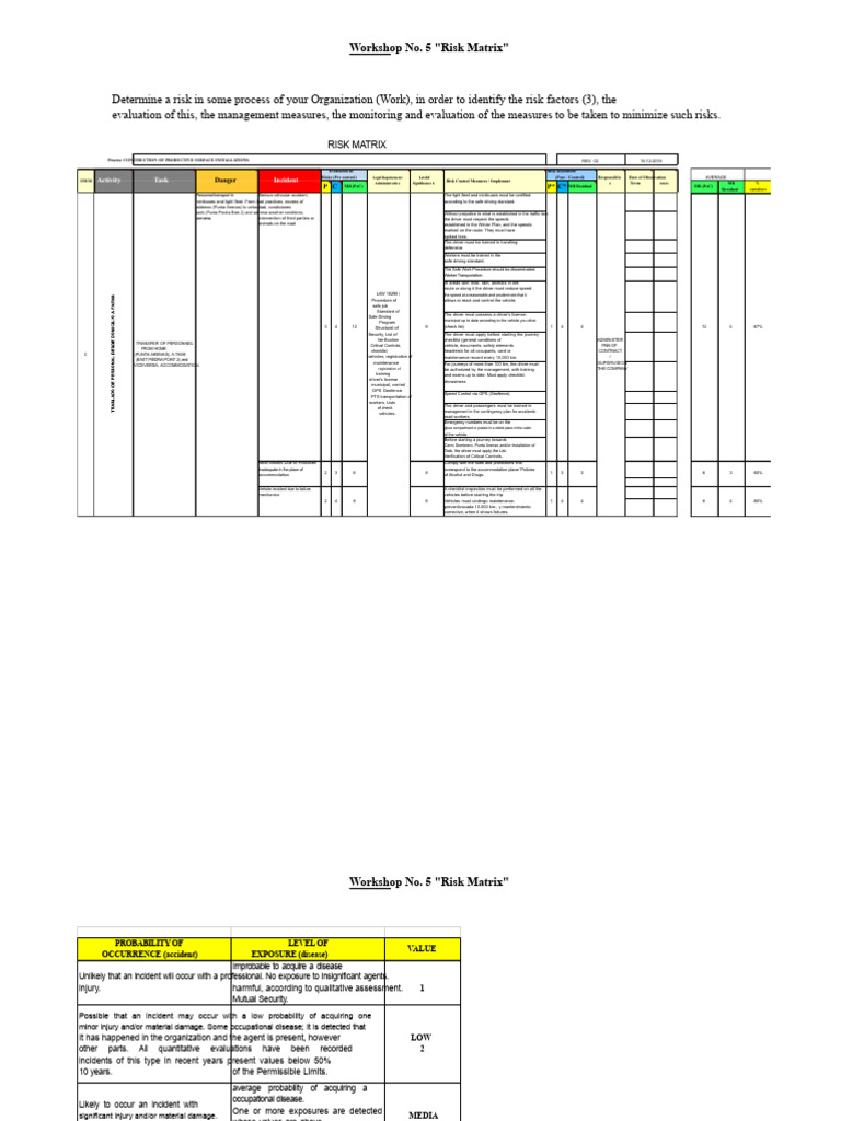 Workshop No. 5 Risk Matrix | PDF | Risk | Driving
