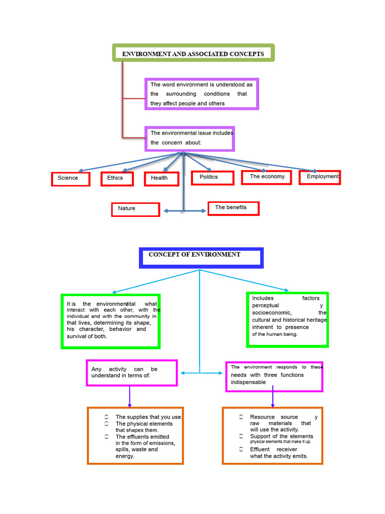 Understanding Environmental Concepts | PDF | Natural Environment | Resource