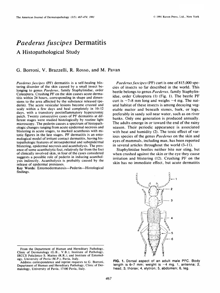 Skin Alteration Effect | PDF