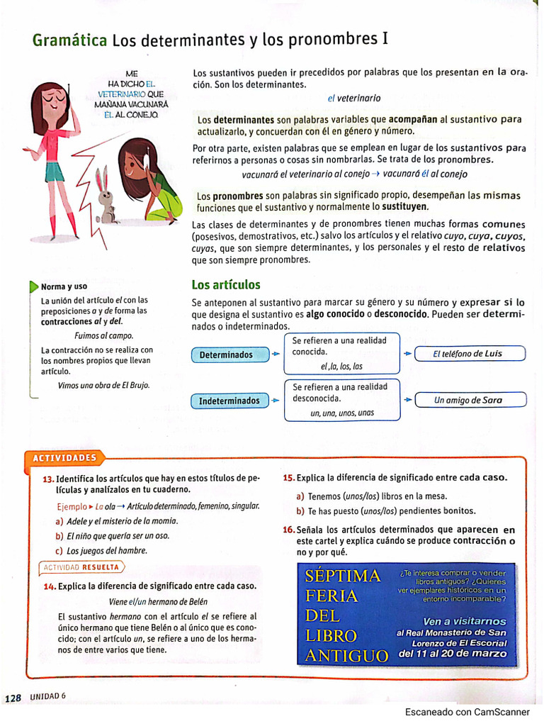 Determinantes y Pronombres | PDF