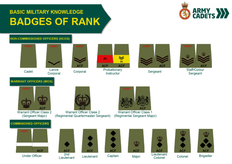 Military Rank Badges Explained | PDF