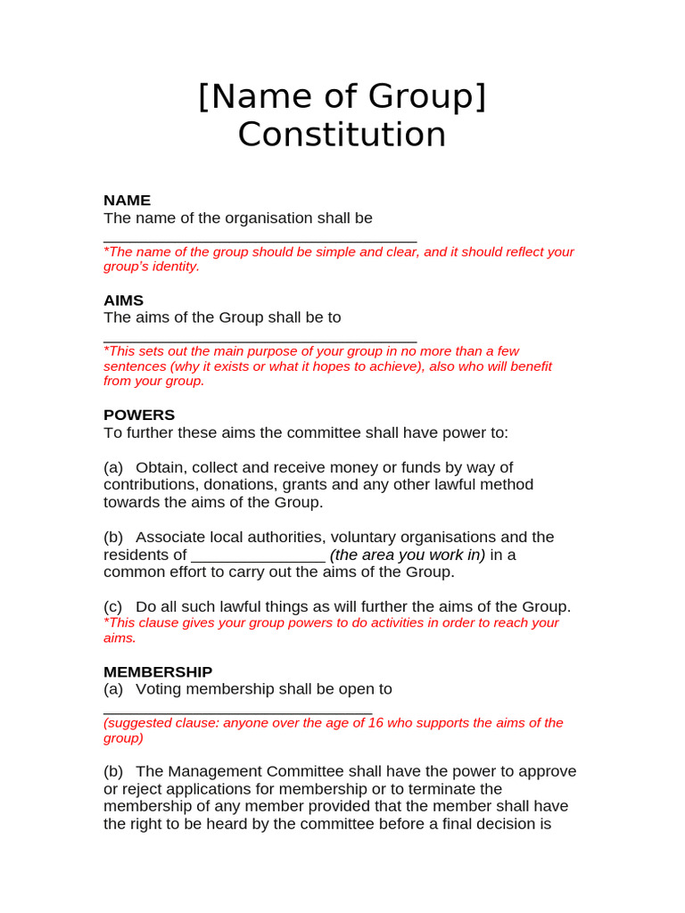 Group Constitution Template Guide | PDF | Committee | Justice