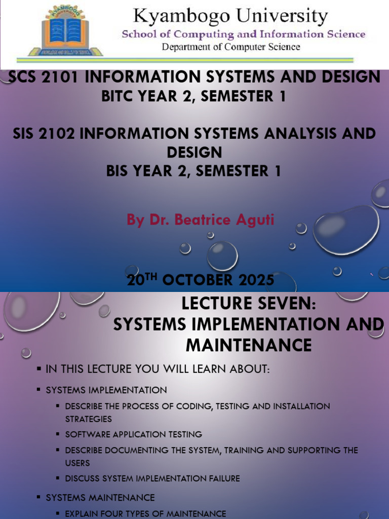 Systems Implementation & Maintenance Guide | PDF | Computer Programming ...