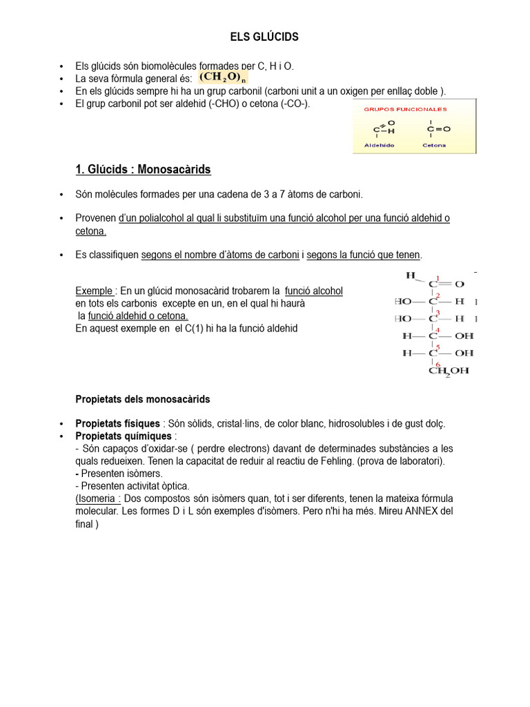 Resum Glúcids 1r BAT | PDF