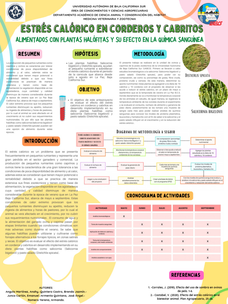Cartel de Anteproyecto sobre Estrés calórico en cabritos y corderos ...