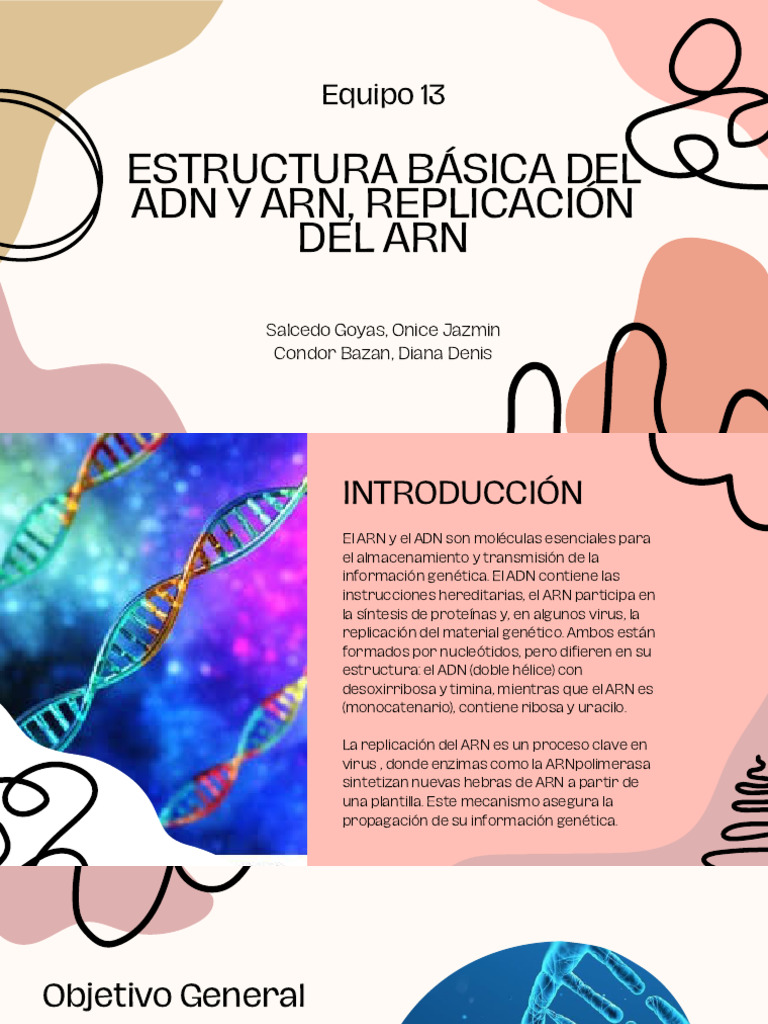 Estructura Del Adn y Arn. Replicación Del Arn | PDF | Rna | Adn