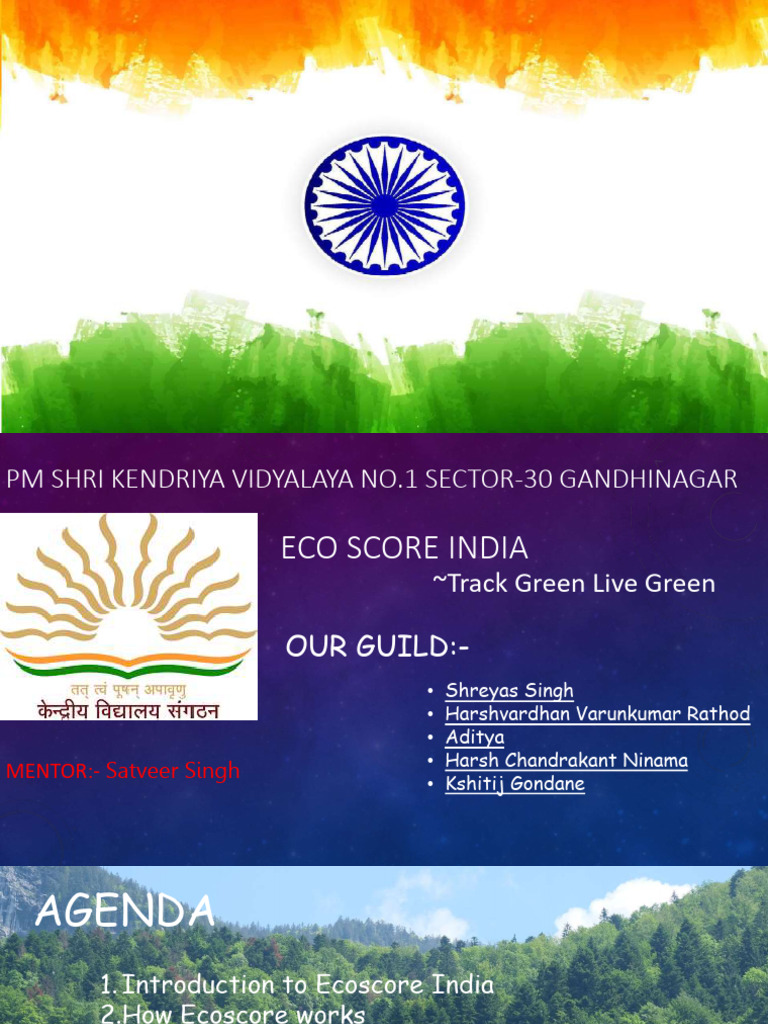 TEAM RAMAN OG PRESENTATION | PDF | Sustainability | Incentive