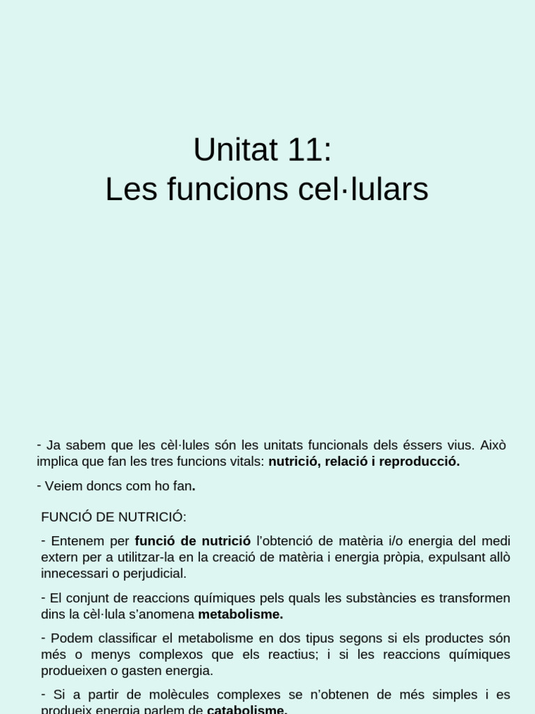 Unitat 11 2n ESO Funcions Cel | PDF