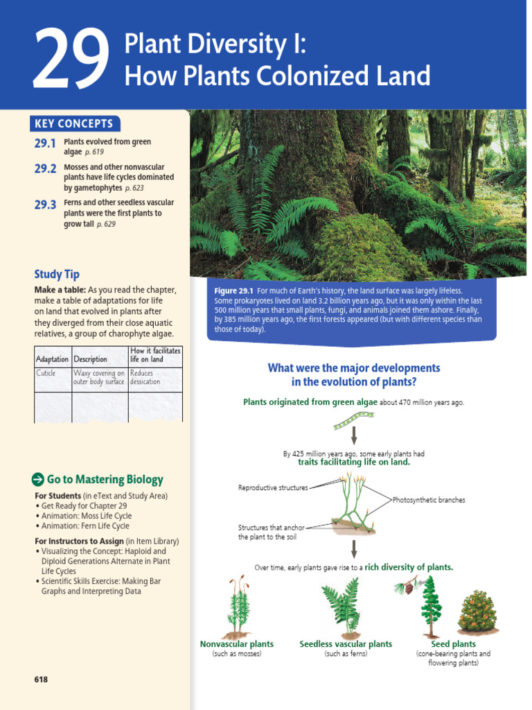 Evolution of Plants: From Algae to Land | PDF | Plants | Moss
