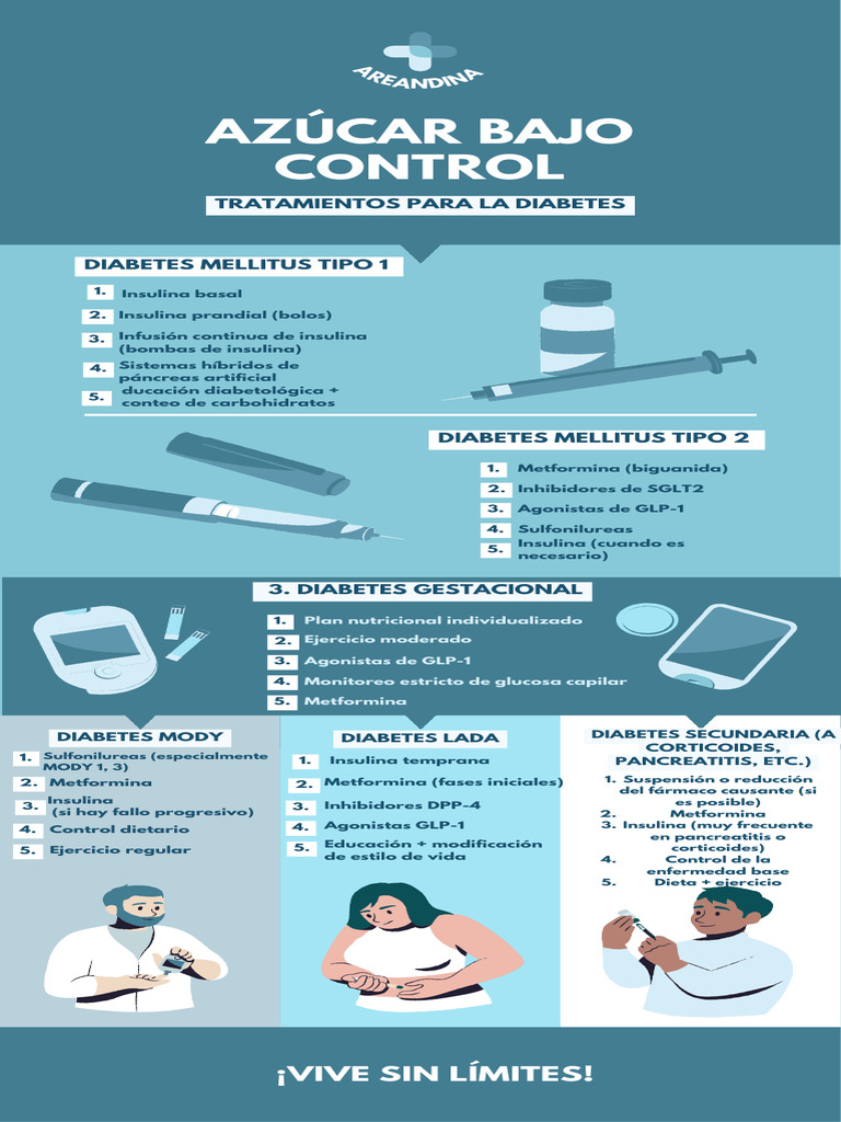 Infografía Diabetes Profesional Azul 20251113 231325 0000 | PDF ...