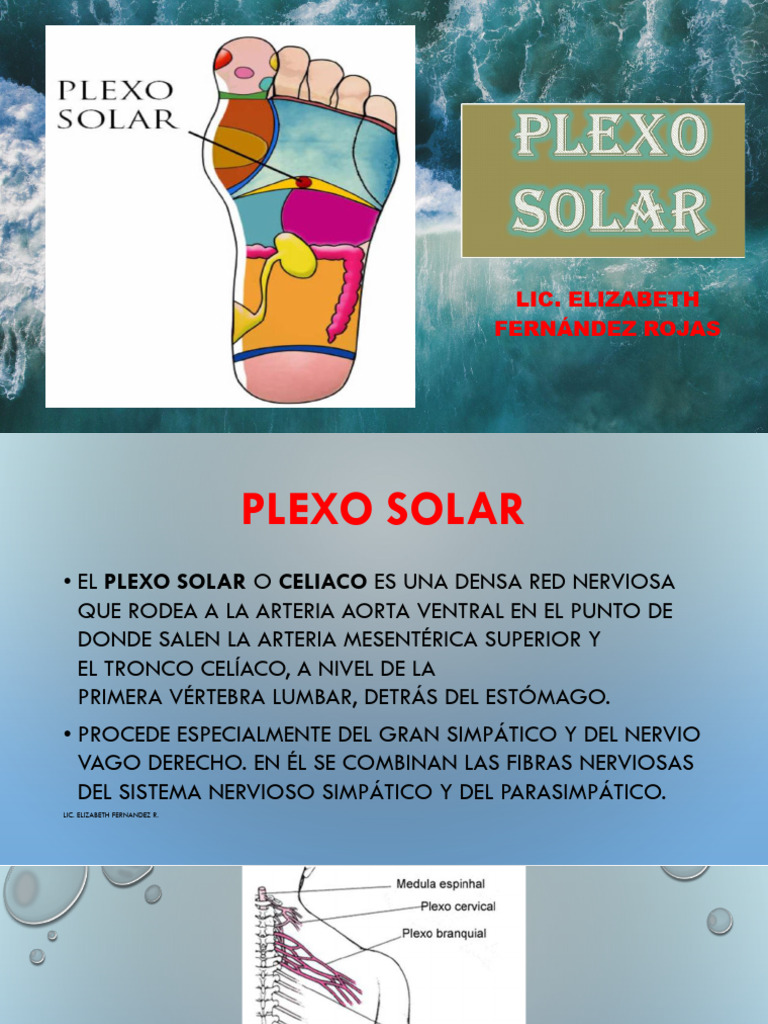 Masaje Reflexológico del Plexo Solar | PDF | Abdomen | Anatomía