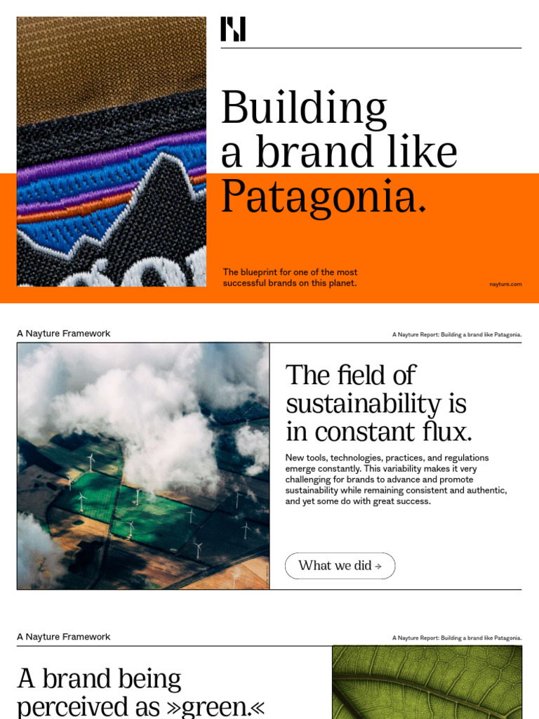 101 - Building A Brand Like Patagonia | PDF | Brand | Sustainability