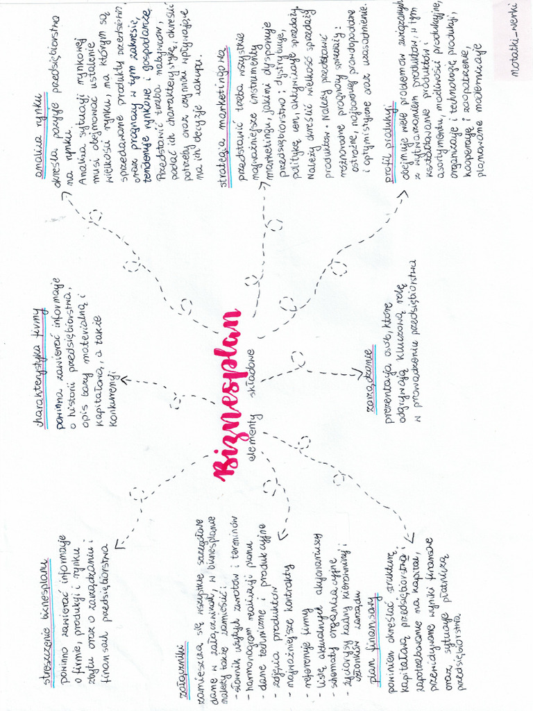 Biz Nes Plan | PDF