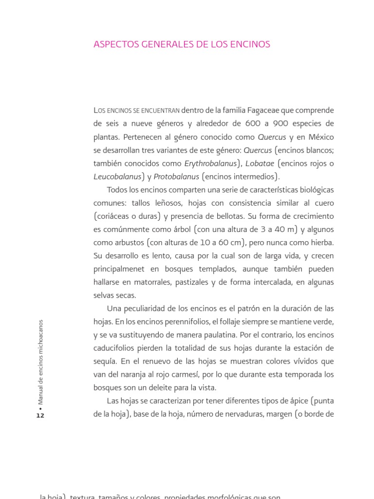 Tipos de encinos en México | PDF | Roble | Flores