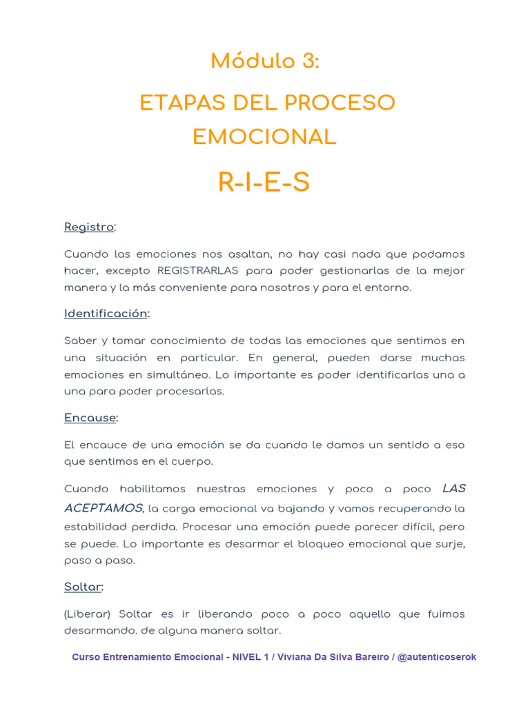 Módulo+3+ +Etapas+Del+Proceso+Emocional ++R I E S | PDF