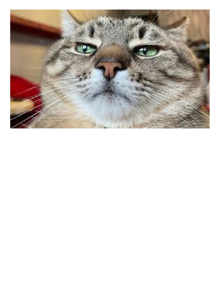 T Volupt | PDF