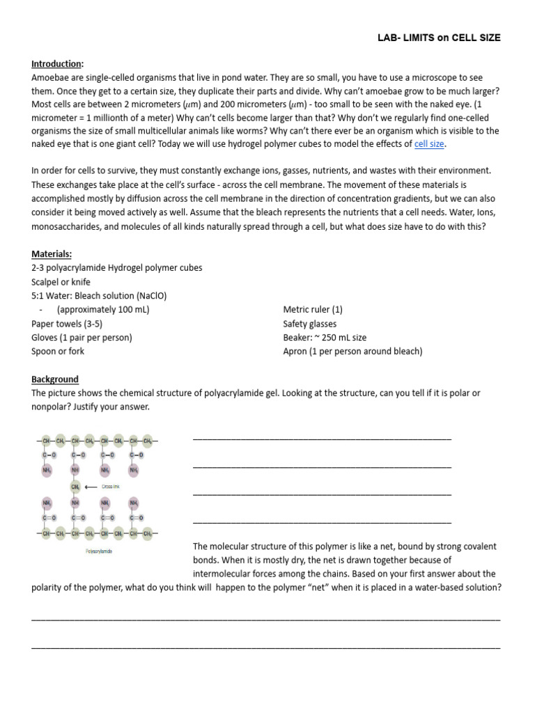 Limits of Cell Size and Diffusion Rates | PDF | Sphere | Area
