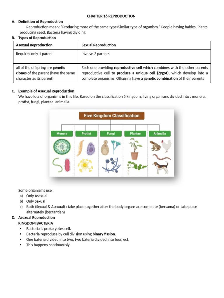 Types and Processes of Reproduction | PDF | Sexual Reproduction ...