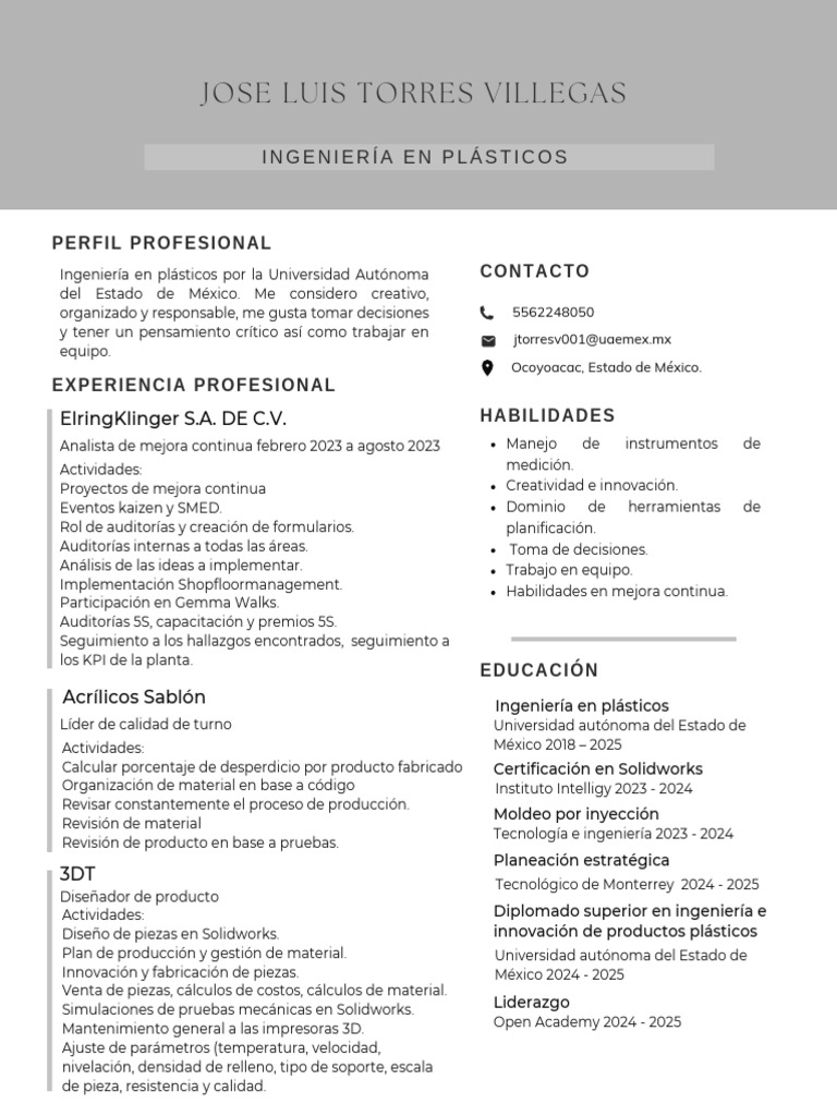 CV Jos É Luis Torres Villegas | PDF | Planificación | México