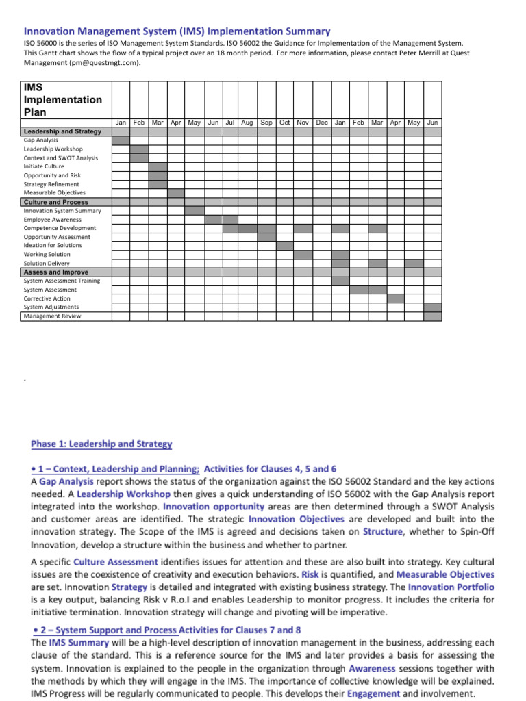 Innovation Project Plan Summary | PDF | Innovation | Risk