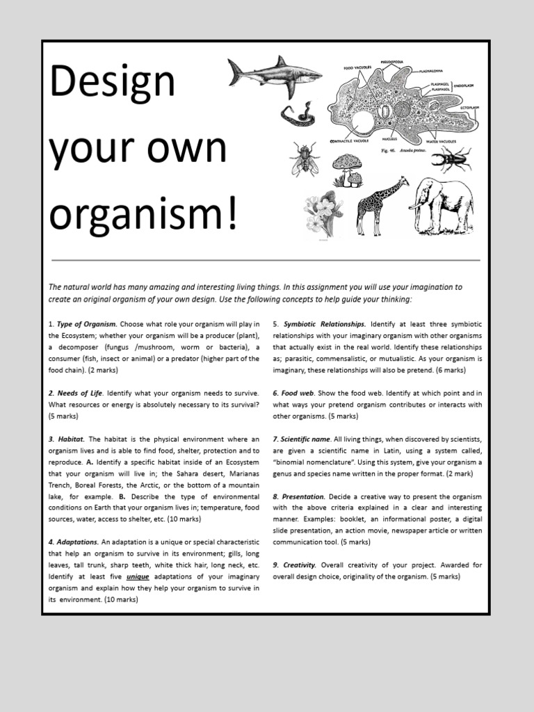 Design an Organism | PDF | Food Web | Habitat