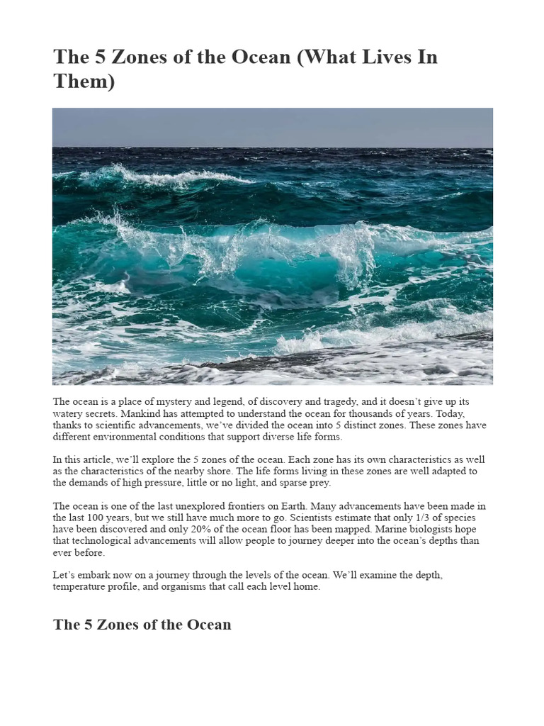 The 5 Zones of the Ocean (What Lives In Them) | PDF | Oceans | Seabed