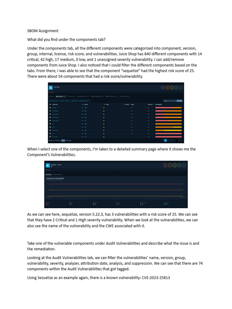 SBOM Assignment | PDF | Data Management | Information Retrieval
