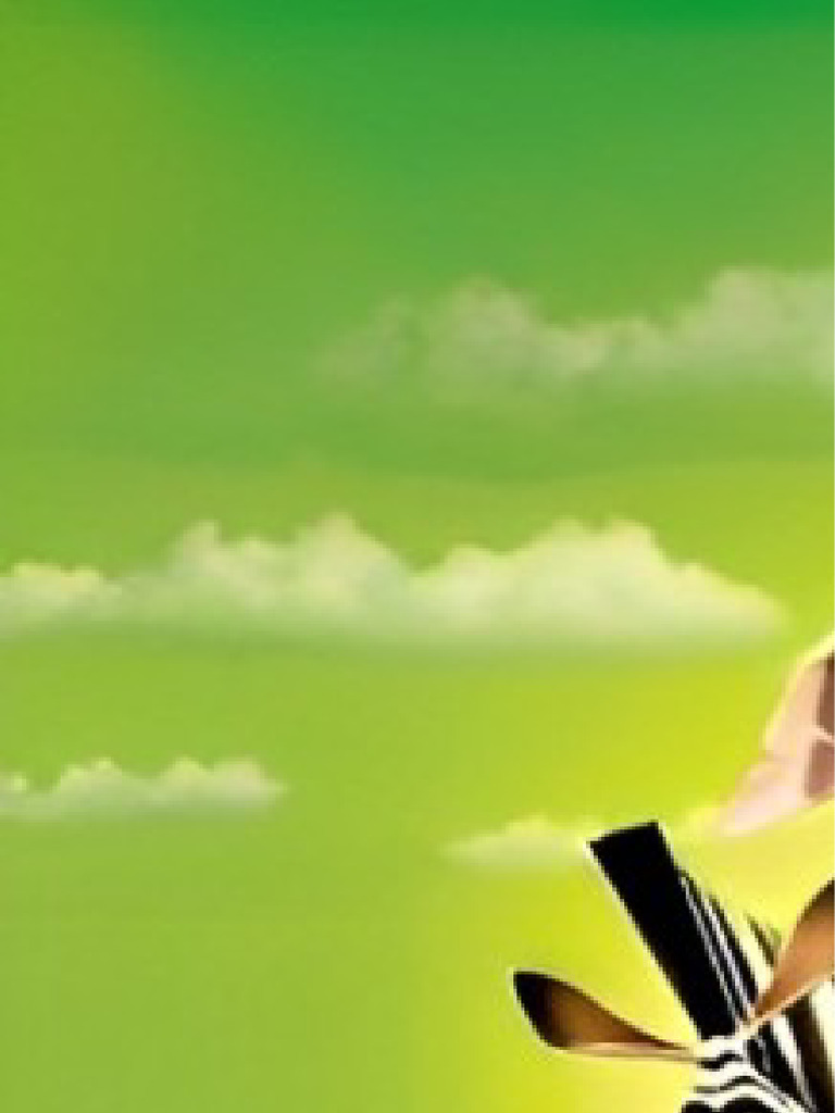 Madacar 24 | PDF