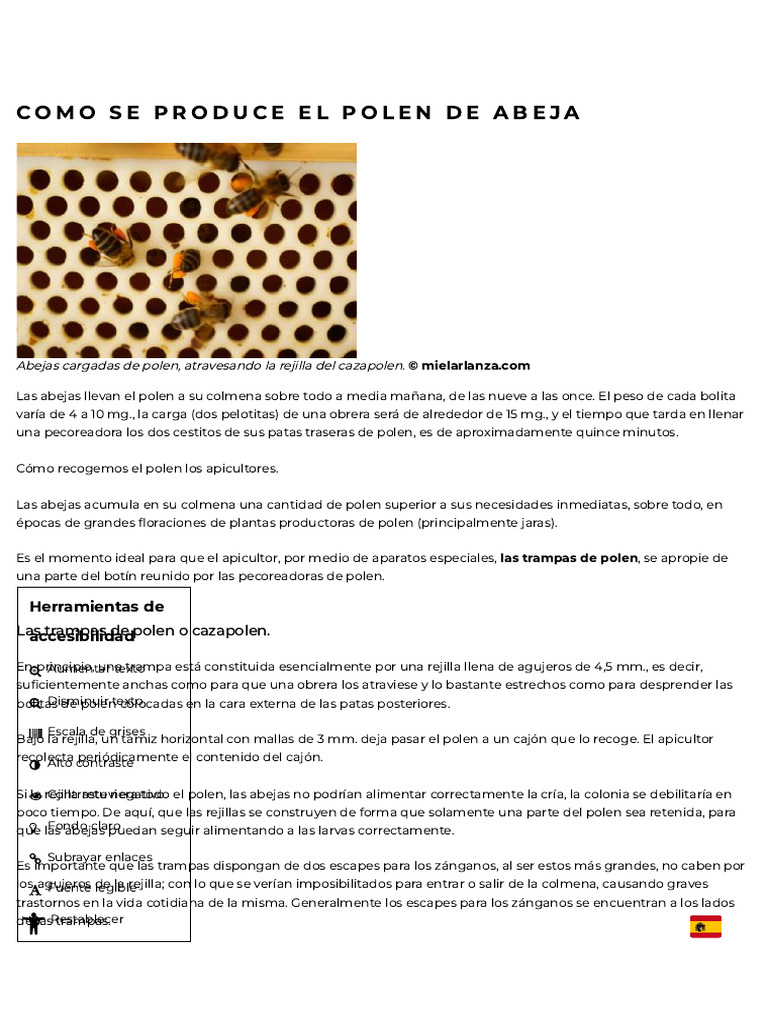 Como Se Produce El Polen de Abeja - Miel Sabinares Del Arlanza | PDF ...