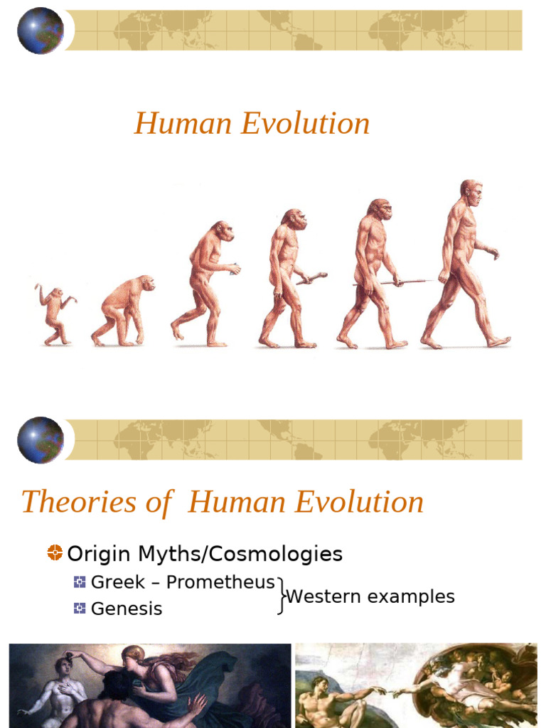 Human Evolution: Key Theories and Milestones | PDF | Homo | Human Evolution