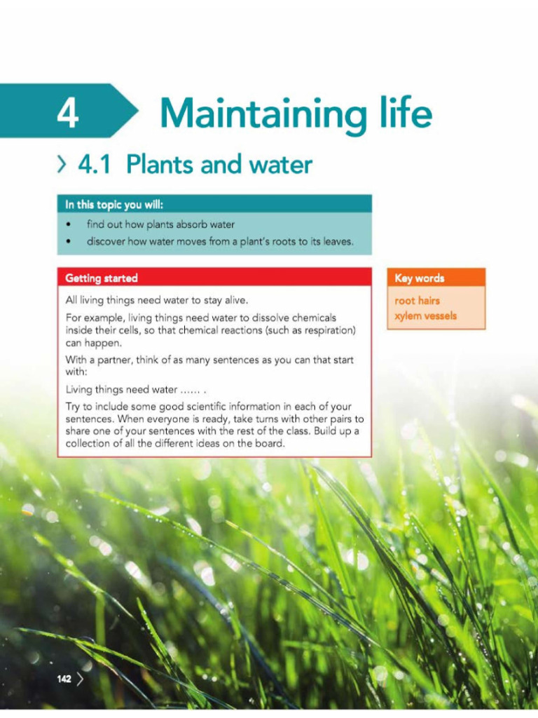 Science 8th grade ch4 | PDF