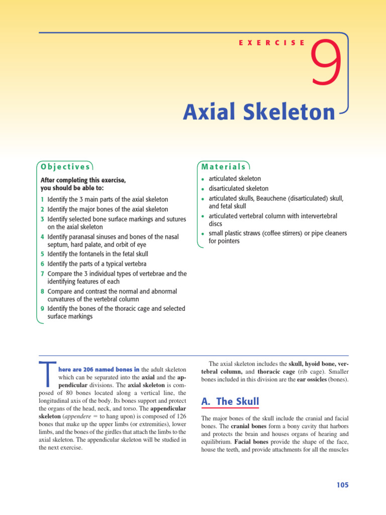 Axial Skeleton Overview and Identification | PDF | Skull | Human Head ...