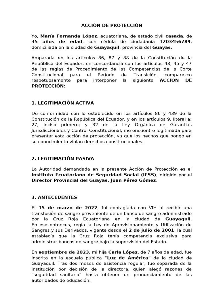 Accion de Proteccion - Karol | PDF | Derecho Constitucional | Justicia