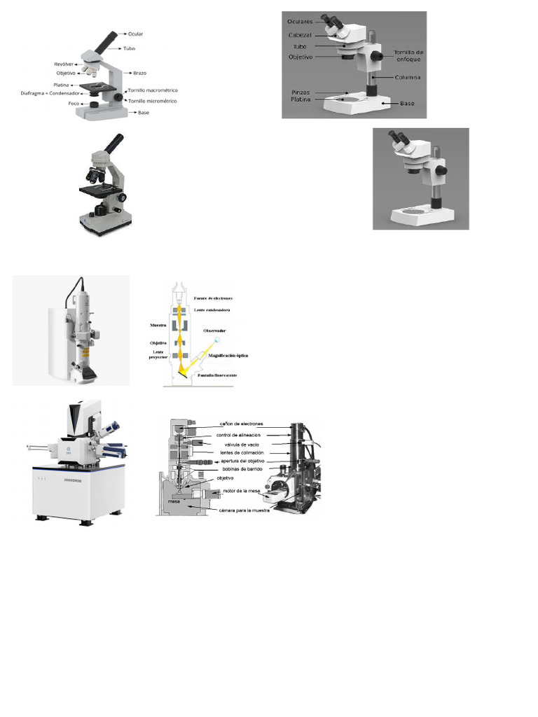 Tipos de Microscopios | PDF