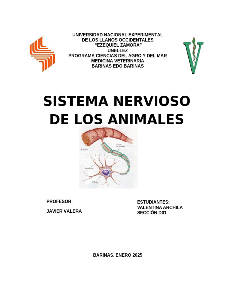 Sistema Nervioso en Animales: Funciones y Estructura | PDF | Axon ...