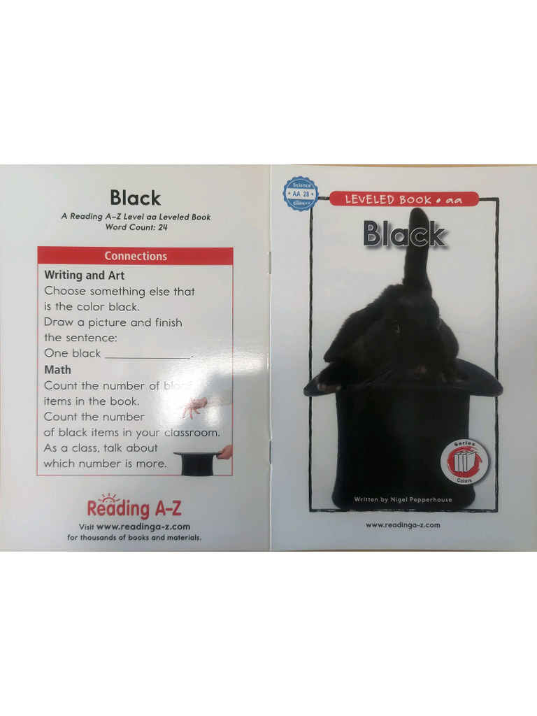 Black AA Level | PDF