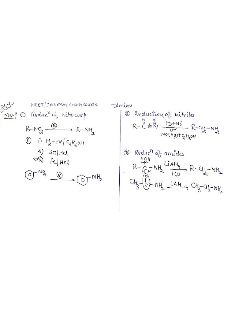 Organic Compounds Containing Nitrogen | PDF