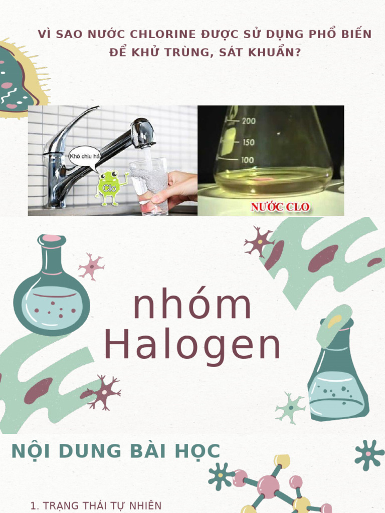 Green and Pink Doodle Hand Drawn Science Project Presentation | PDF