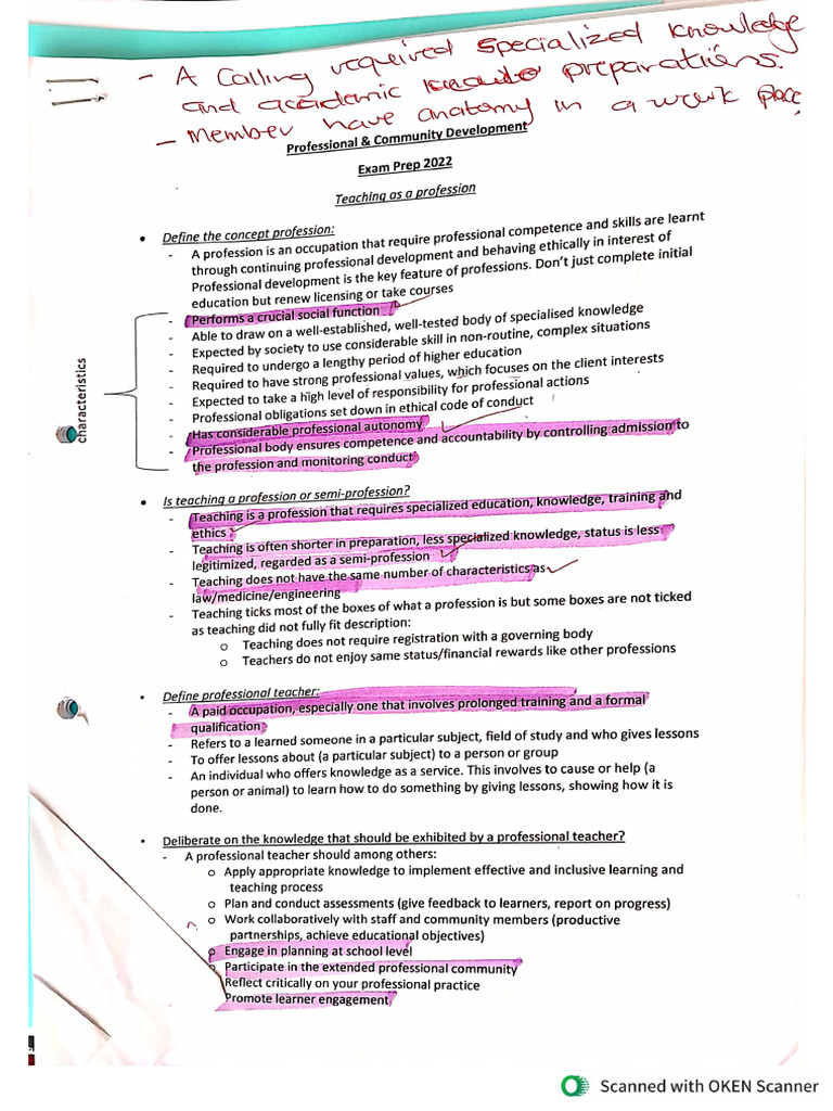Professional Summarized Notes | PDF