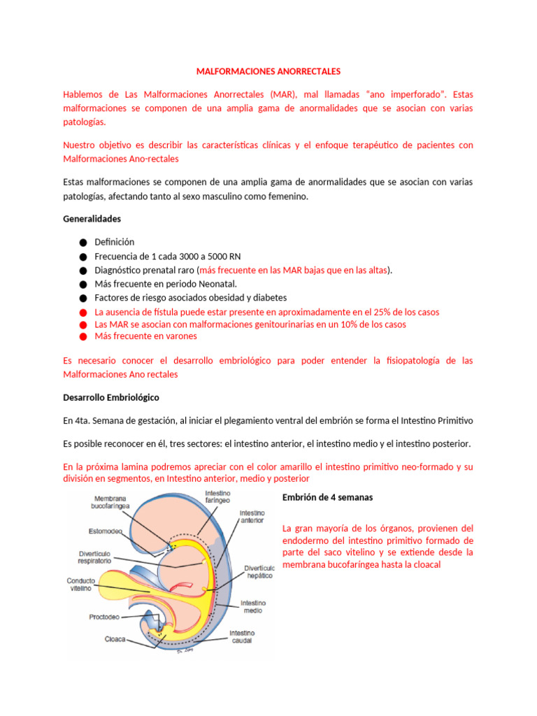 Malformaciones Anorrectales: Diagnóstico y Tratamiento | PDF | Pelvis ...