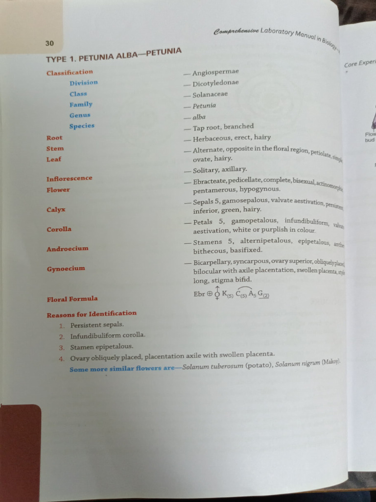 BIology Lab Manual Class 11 CBSE | PDF
