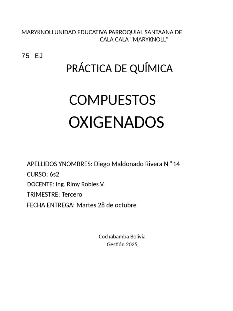 Car-tula de Pr-cticas 2025.Docx | PDF