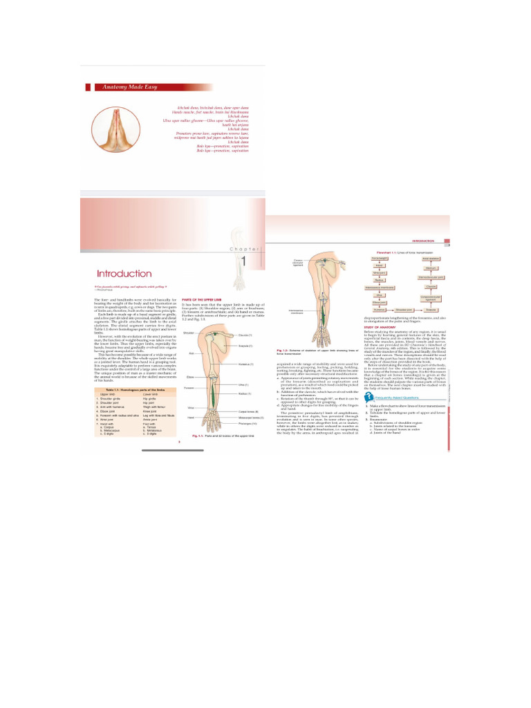 General Anatomy 8th Addition | PDF