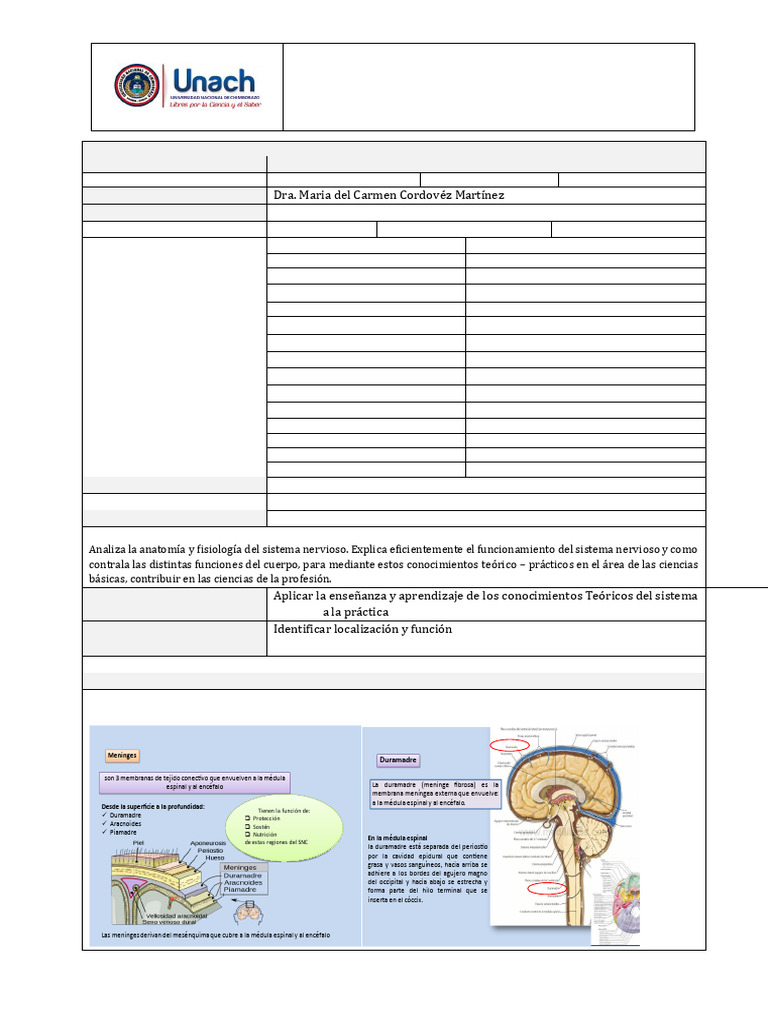 PRÁCTICA #14 y 15 MENÍNGES y PARES CRANEALES -signed | PDF | Nervio ...